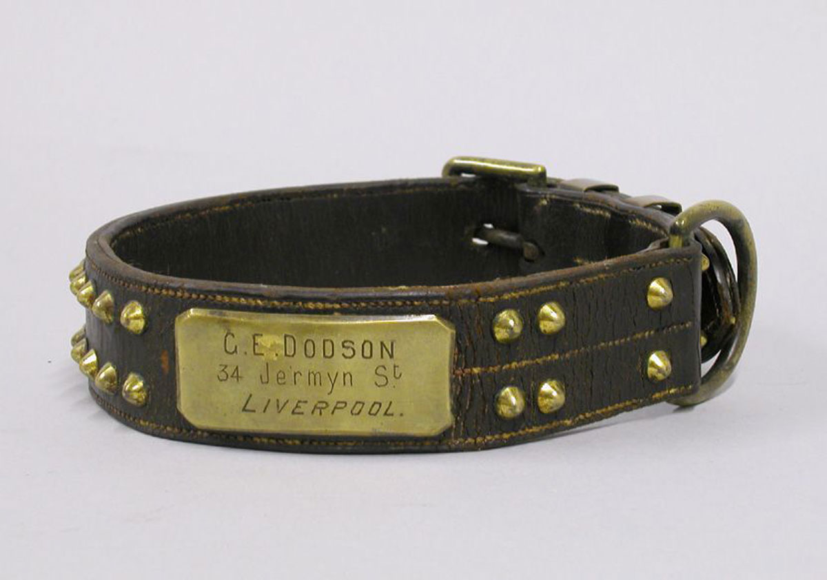 How Dog Collars Have Changed Over Time | Petiquette Collars